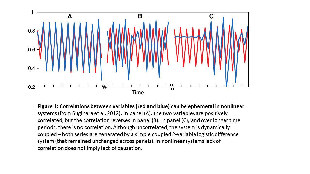 Empirical Dynamic Modeling Deep Eco
